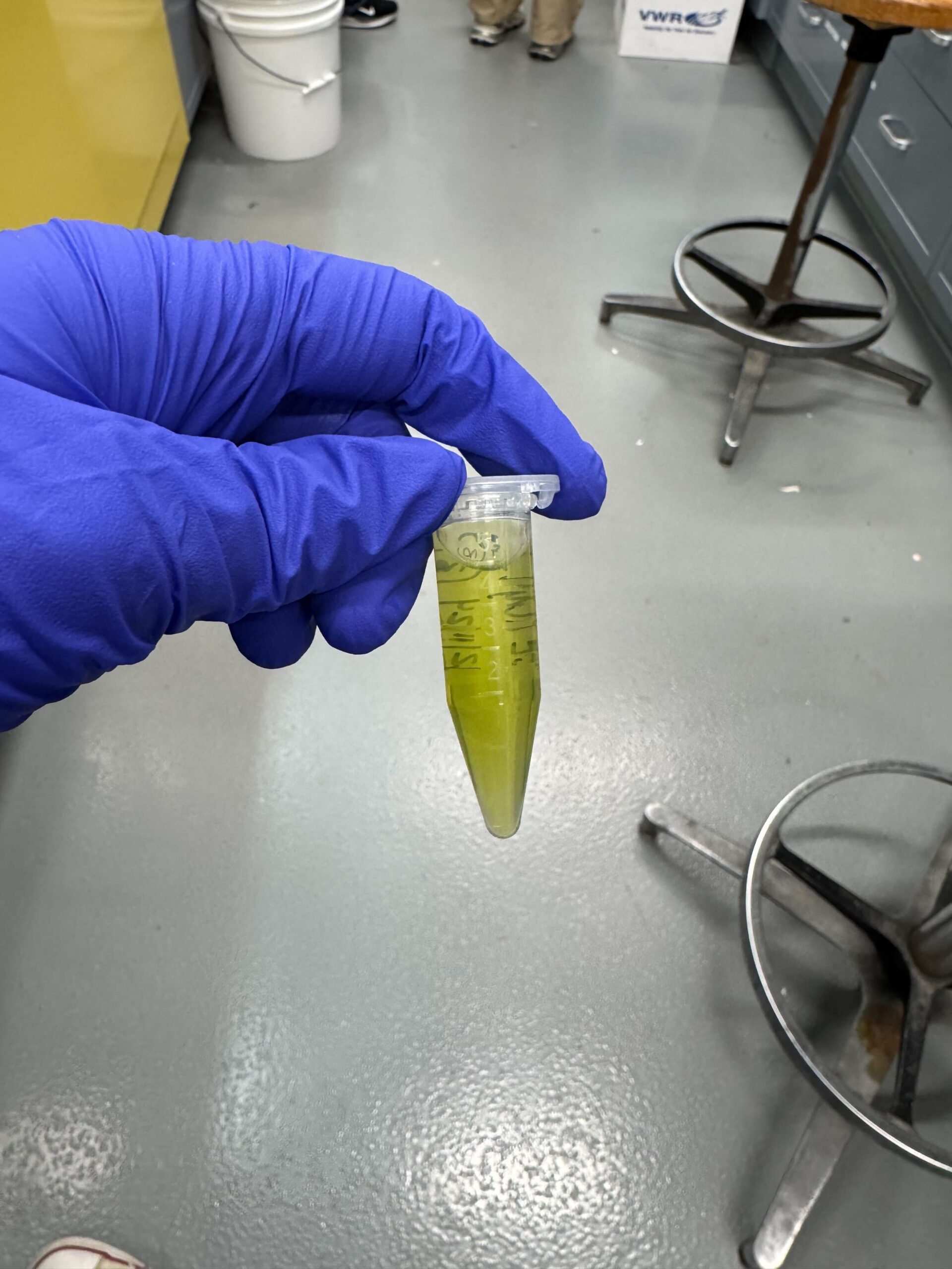 News – Jiang Lab