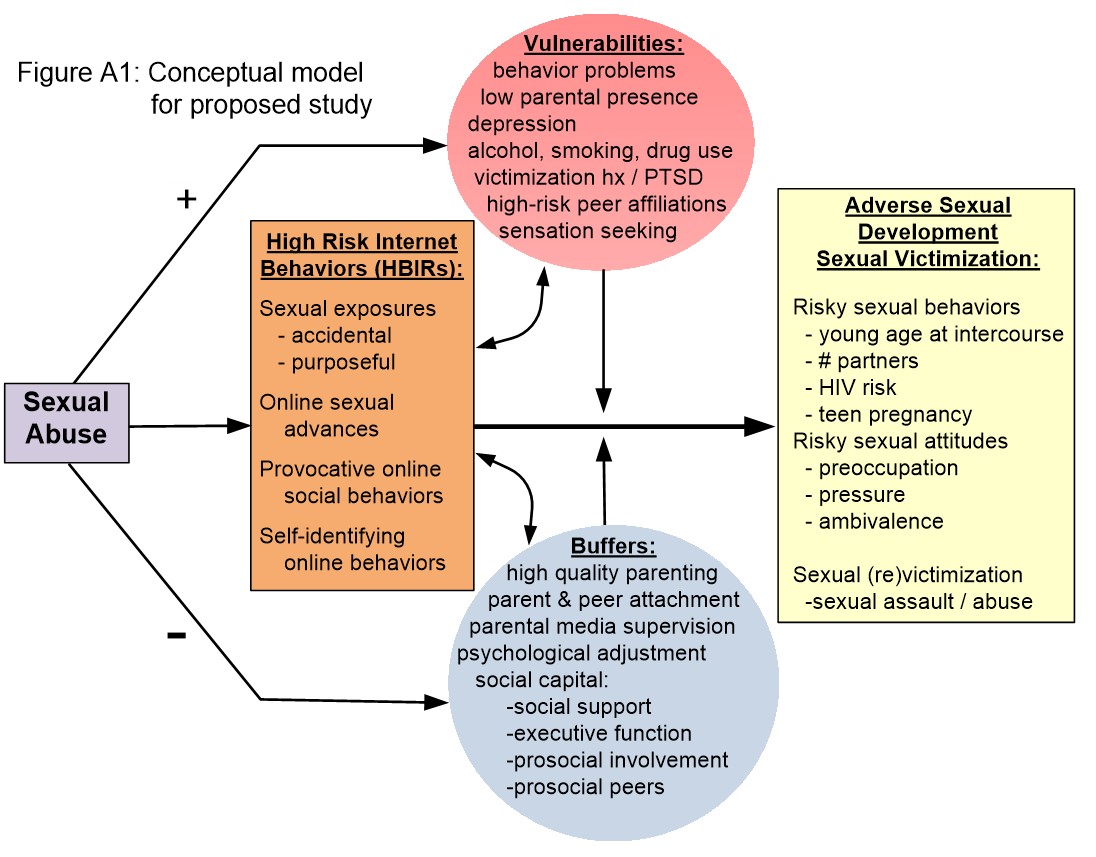 Current Studies & Representative Projects - Noll Lab